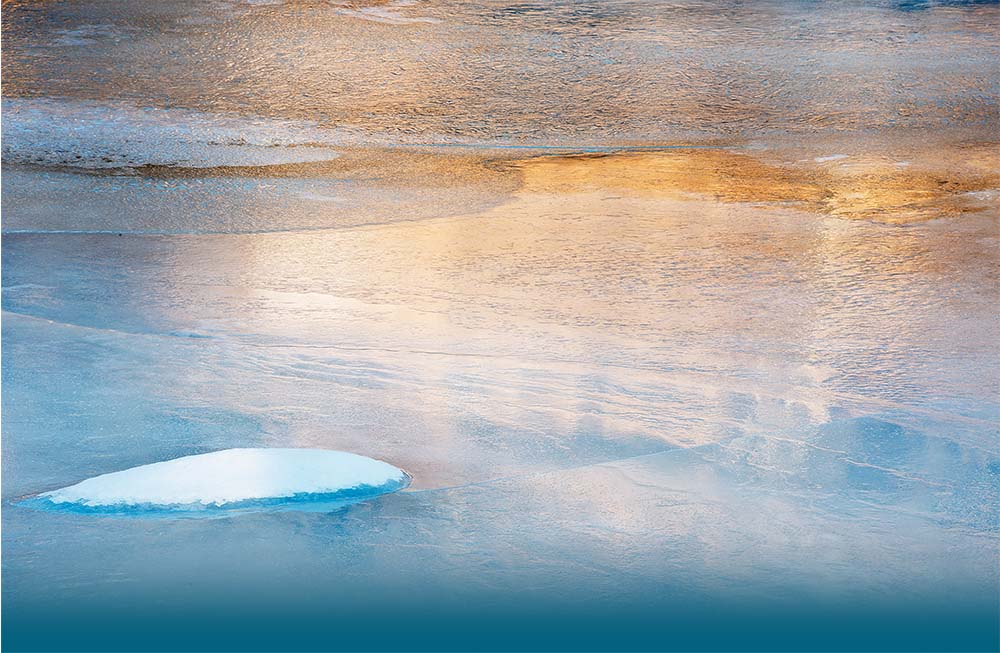 Online Small Group Retreat [January, 2026] ~ 3432759 - Gangaji