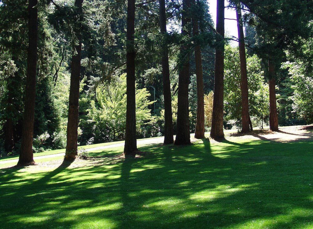 In-Person Small Group Retreat [April, 2025] ~ 3414202 - Gangaji