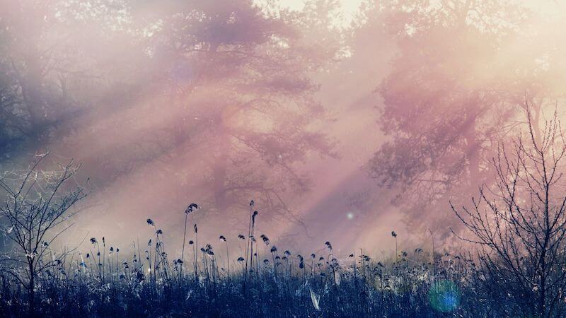 Online Small Group Retreat [July, 2024] ~ 3384624 - Gangaji