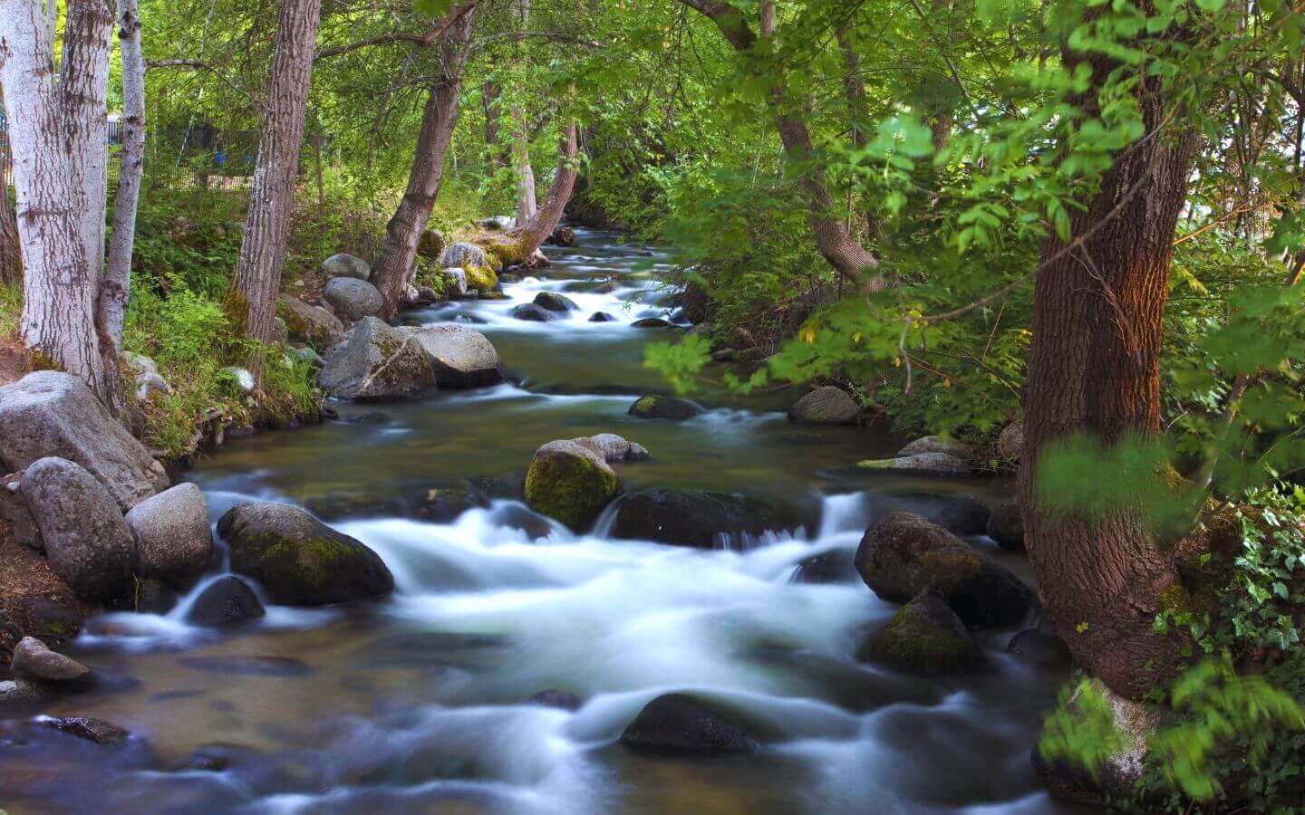 Ashland 5-Day Retreat [May, 2025] ~ 3413510 - Gangaji