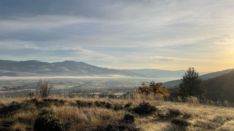 Watch Gangaji's Ashland Public Meeting from Home [February, 2024 ...