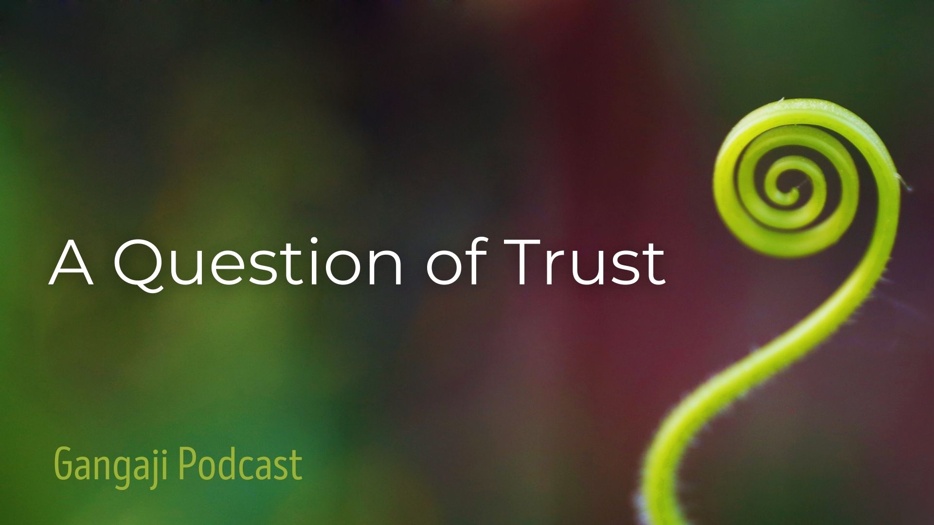 A Question of Trust — gangaji.org