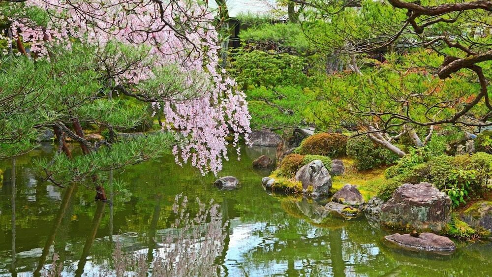 In-Person Small Group Retreat [February, 2025] ~ 3413456 - Gangaji