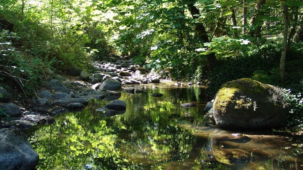 In-Person Small Group Retreat [March, 2025] ~ 3413500 - Gangaji