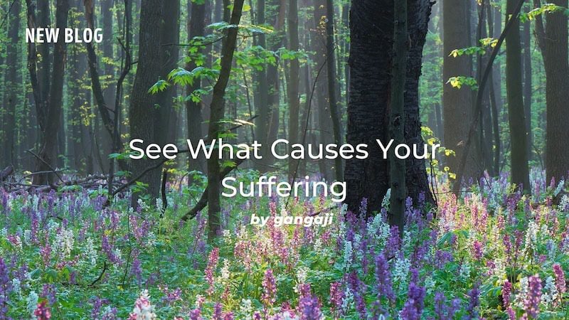 See What Causes Your Suffering — gangaji.org