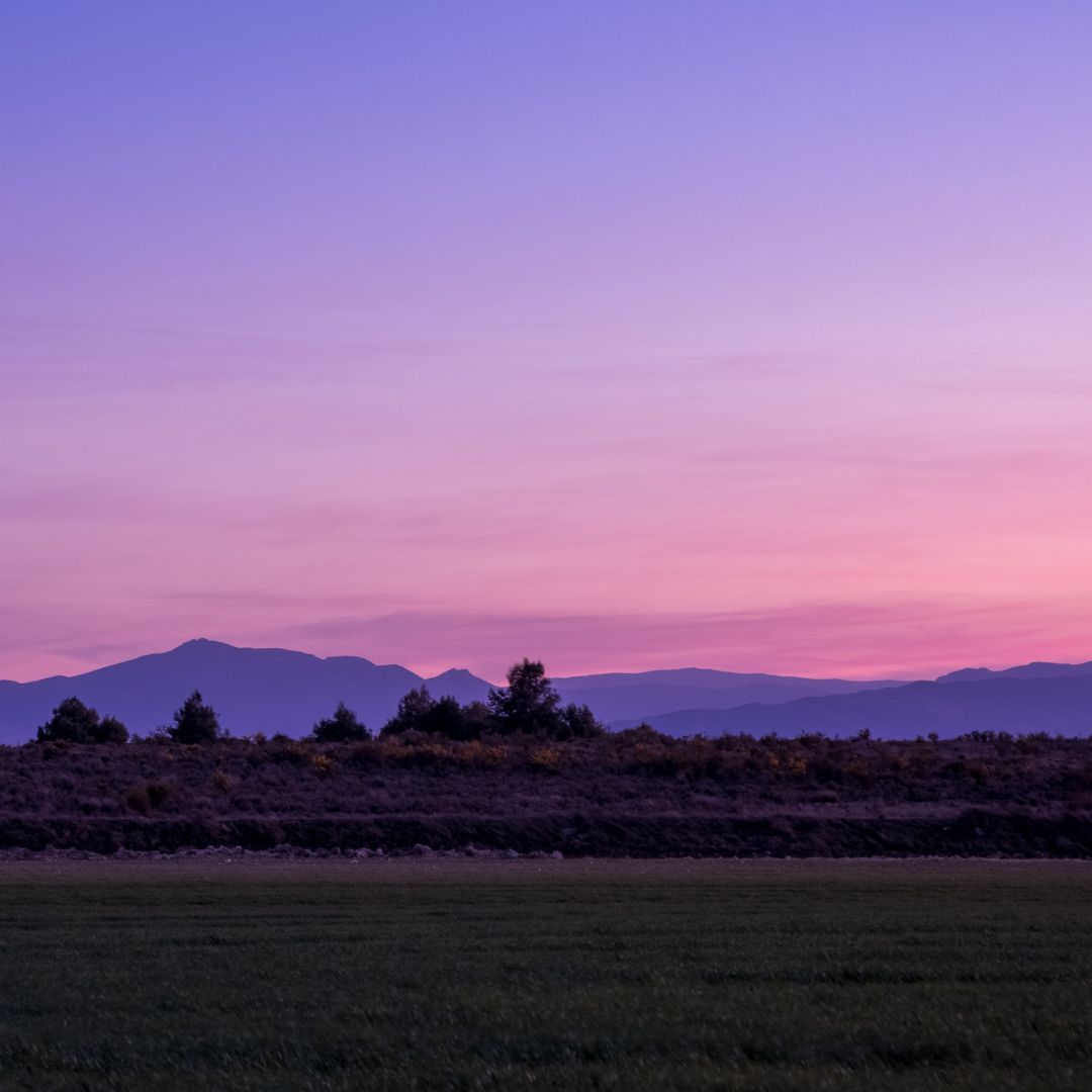 Online Small Group Retreat [August, 2025] ~ 3428007 - Gangaji