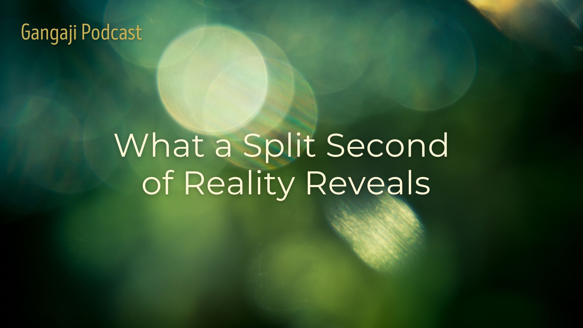 What a Split Second of Reality Reveals — gangaji.org