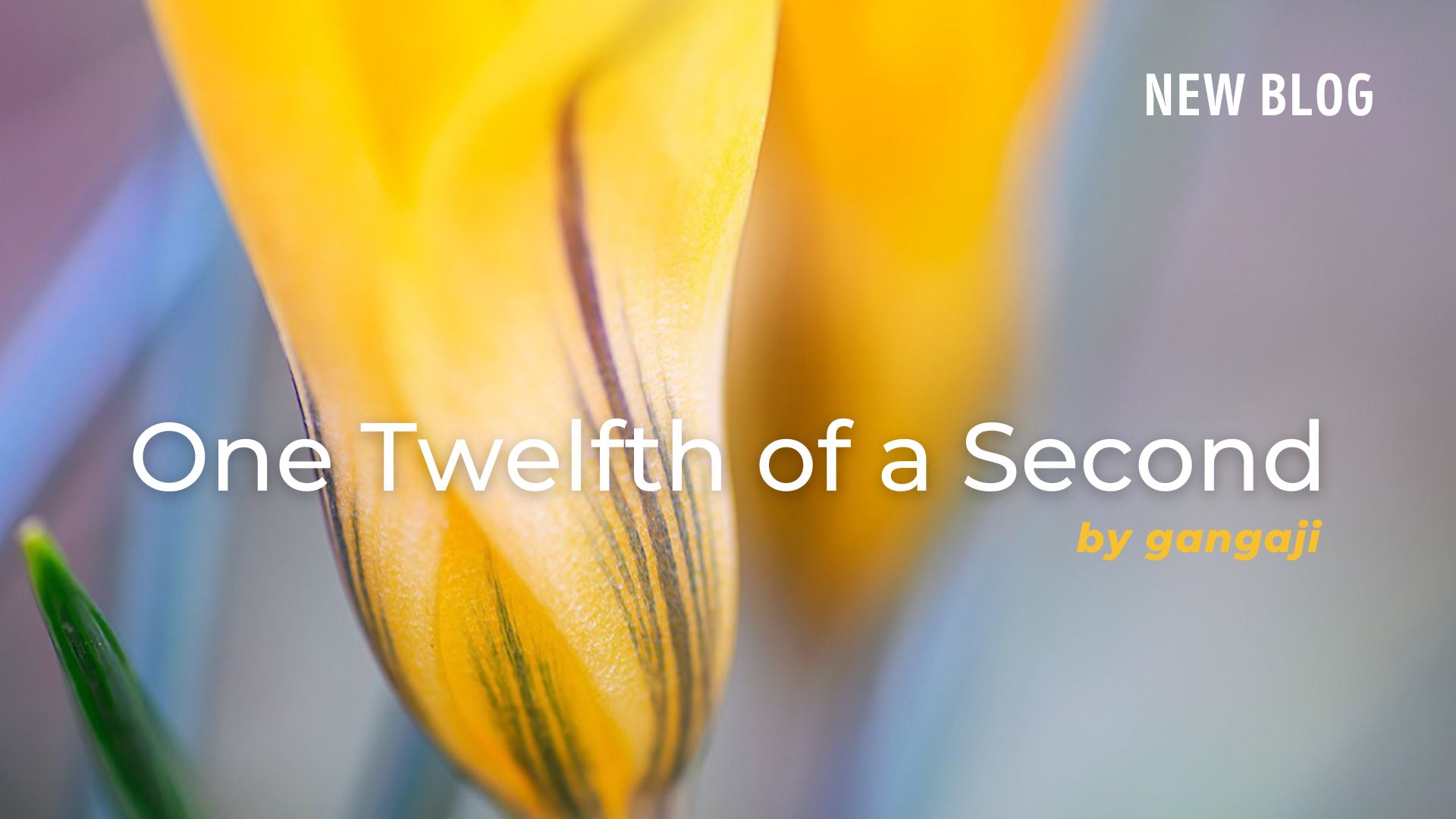 One Twelfth of a Second — gangaji.org