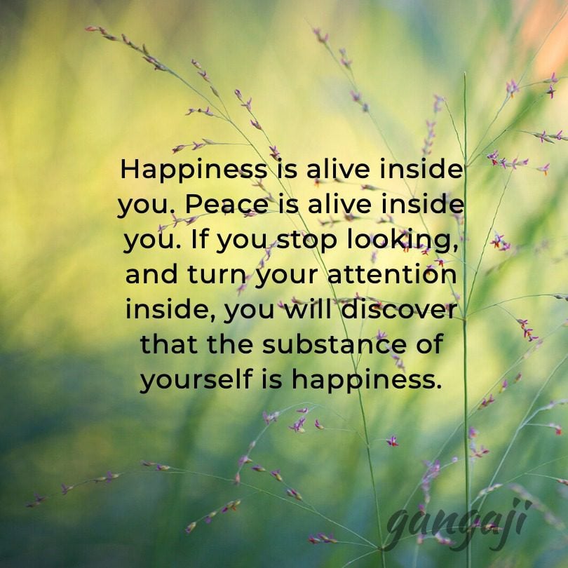 Happiness is alive inside you. Peace is alive inside you. If you stop ...