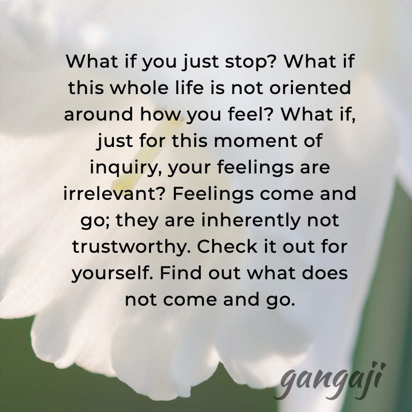 What if you just stop? What if this whole life is not o - Gangaji