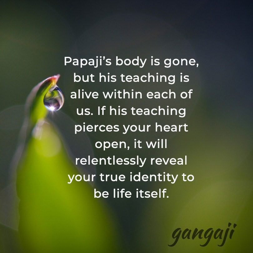 Papaji's body is gone, but his teaching is alive within - Gangaji