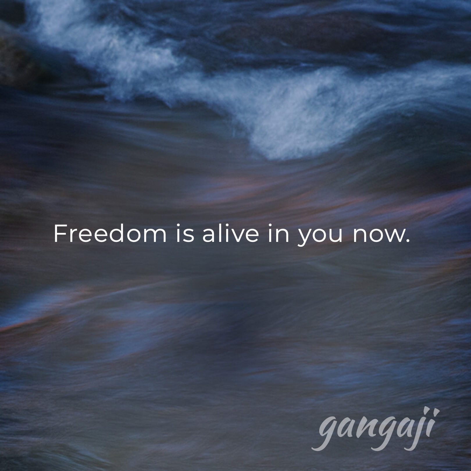 Freedom is alive in you now. - Gangaji